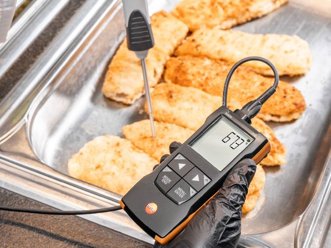 Testo 110 Compact NTC and Pt100 Thermometer with Smart App 0563 0110 ...