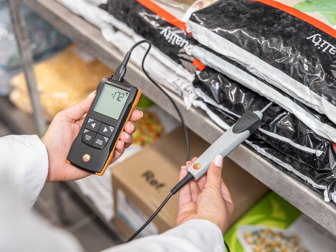 Testo 110 Compact NTC and Pt100 Thermometer with Smart App 0563 0110 ...